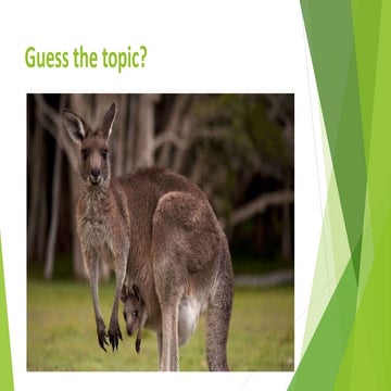 Guess the topic on KMC (Sanket vispute).pptx