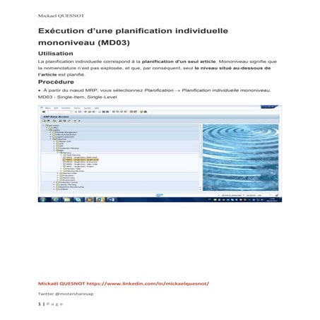 GU_SAP S4 HANA_How to perform Dunning_Create Dunning Notices (F150).docx