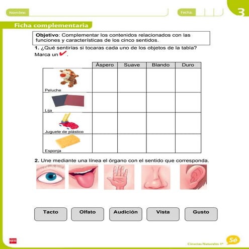 Guia1 naturaleza unidad los sentidos | PDF