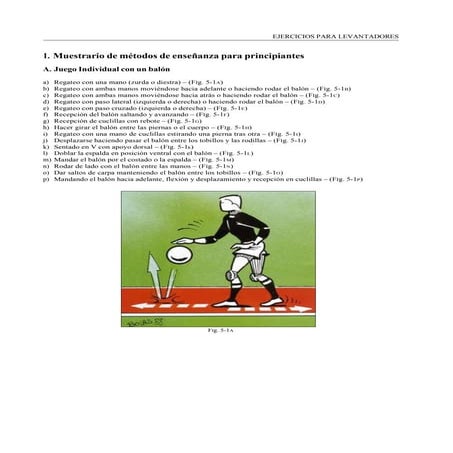 GUIA BASICA PARA LEVANTADORES.pdf