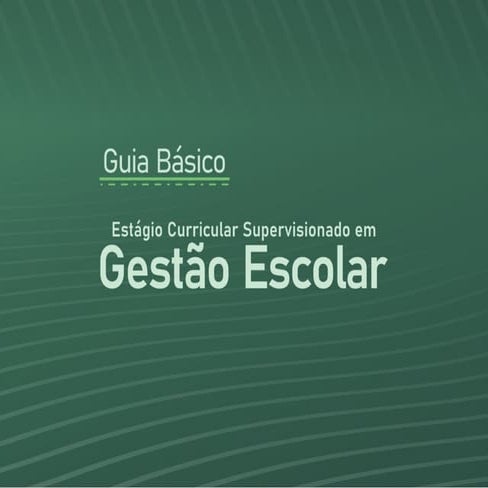 Guia Básico.pdf