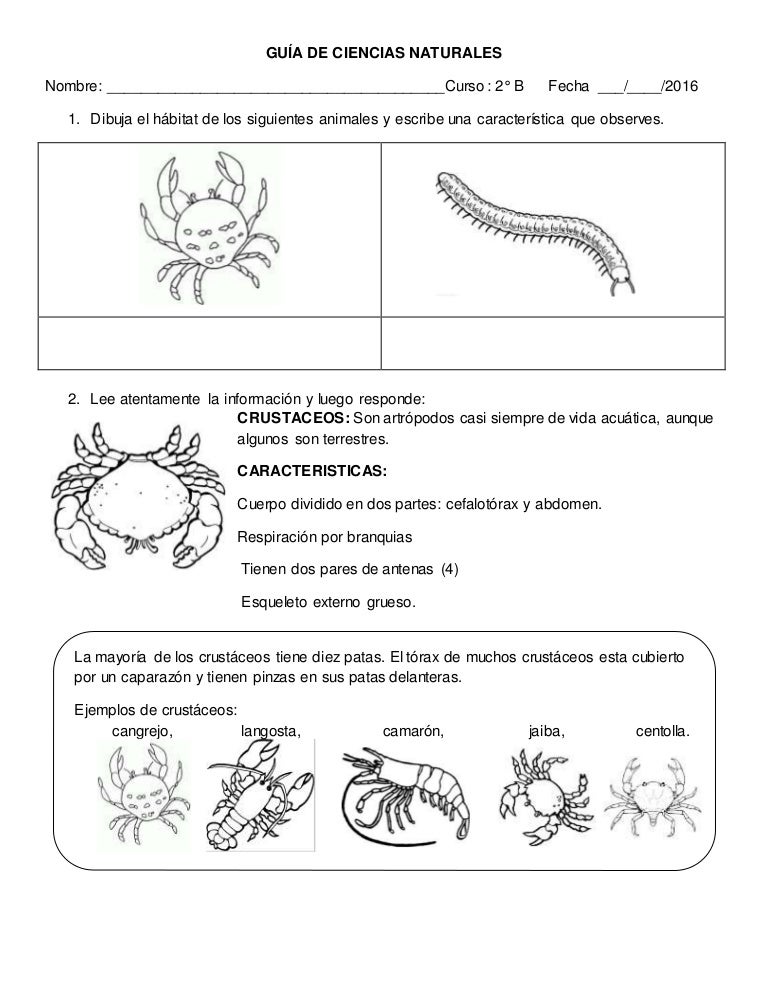 Guia crustáceos y mirápodos