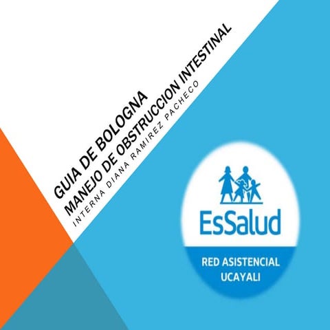 guia de bologna de la guía internacional | PPTX