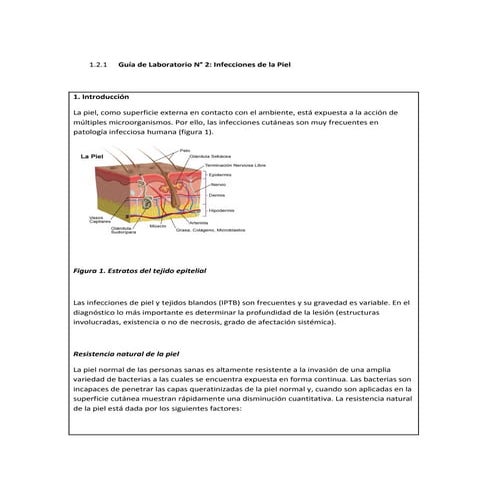 FLORA RESIDENTE Y TRANSITORIA.pptx