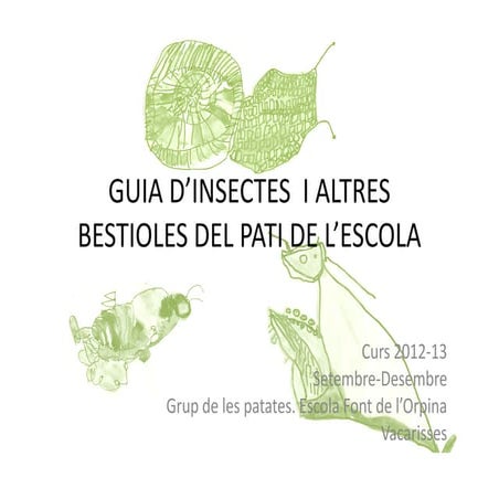 Guia d’insectes del pati de l’escola | PDF