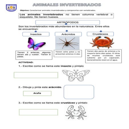 Guia invertebrados.pdf