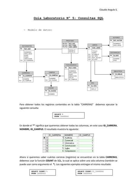 AdobeCustomCertificate_illustrator2 | PDF