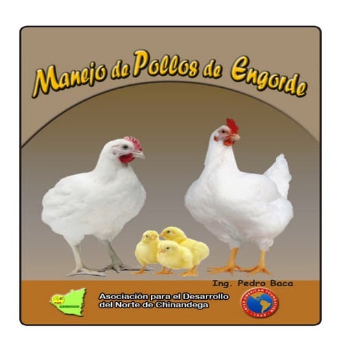 Guia manejo pollos de engorde paginado | PDF