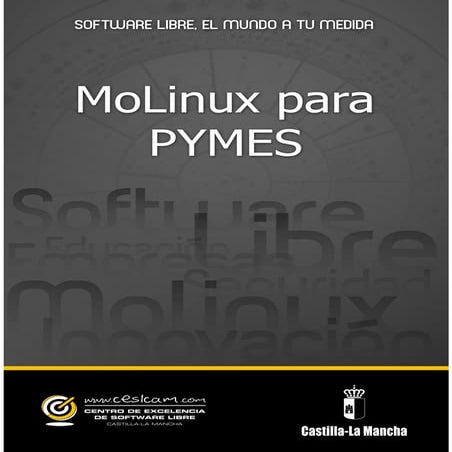 Guia molinux para pymes | PDF