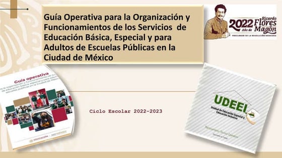 Marco técnico operativo UDEEI 16.agosto.24 vf.pdf | Special Education ...