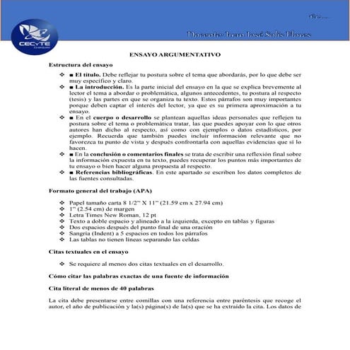 Formato De Esquema De Ensayo Argumentativo
