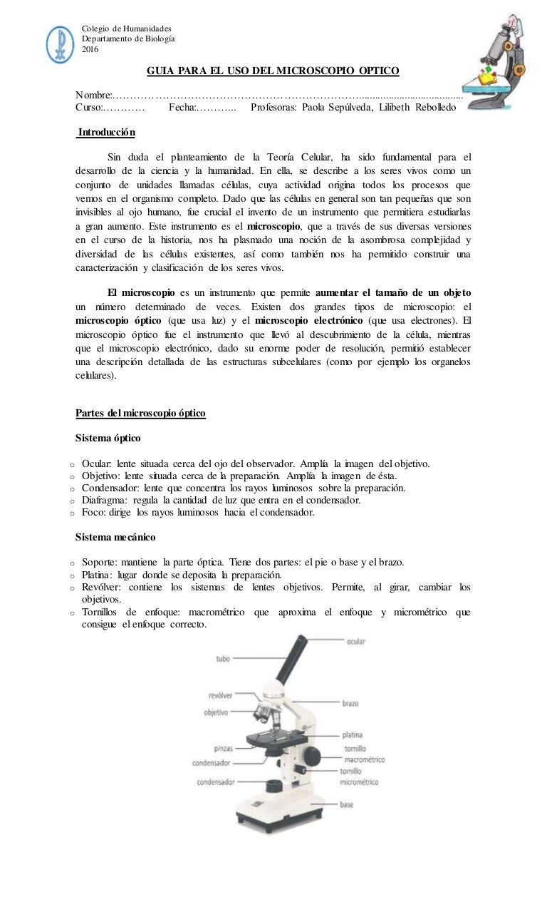 Guia para el uso del microscopio optico
