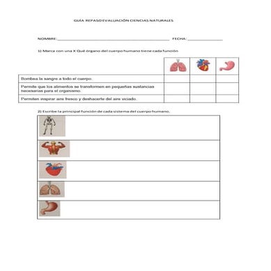 Guia para prueba de ciencias naturales cuerpo humano | DOCX