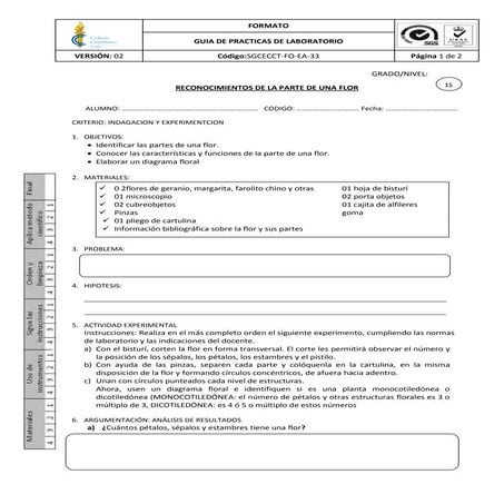 Hoja De Trabajo Sobre Las Partes De Las Flores