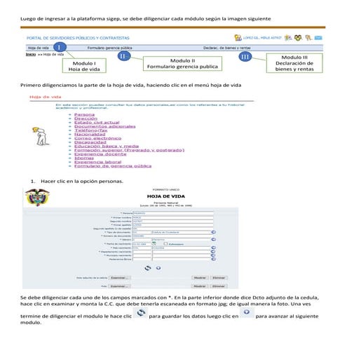 Guia plataforma sigep.pdf