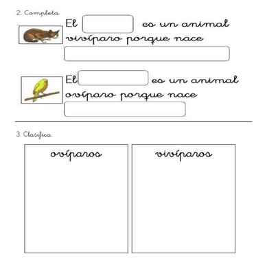 Guia unidad 1 los animales | DOCX