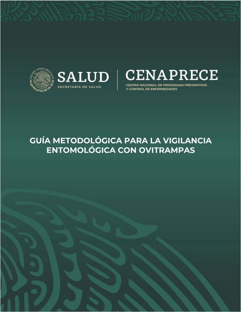 Armandojavierpruonos presentations