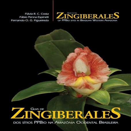 Guia zingiberales ebook (1) | PDF