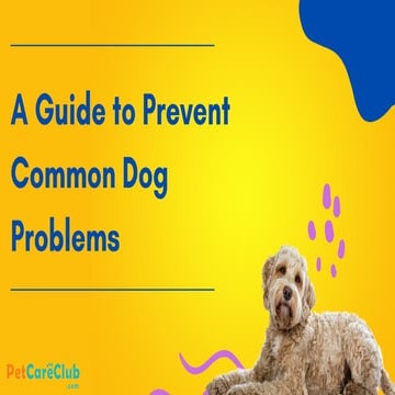 A Guide to Prevent Common Dog Problems in Dogs! | PDF