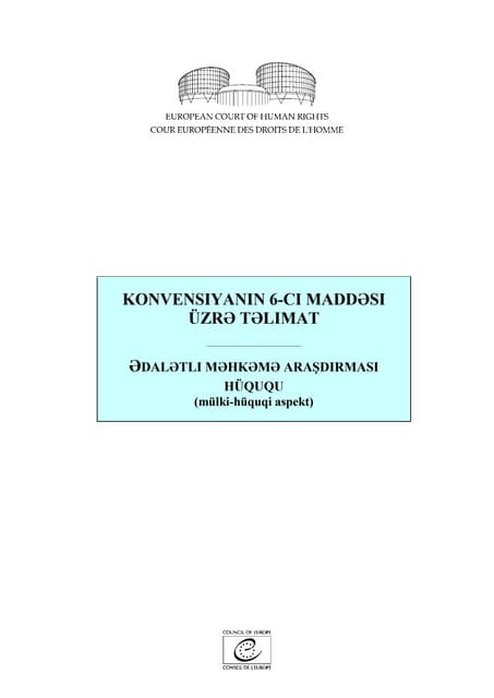 Article 2 of the European Convention on Human Rights (Right to Life ...