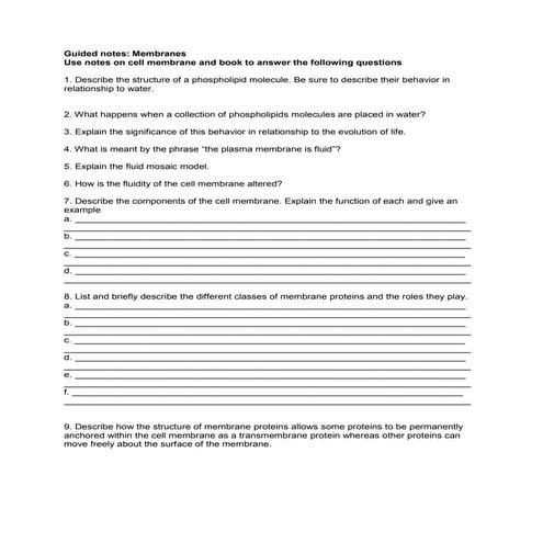 Cell membrane ppt questions chap7 | DOCX