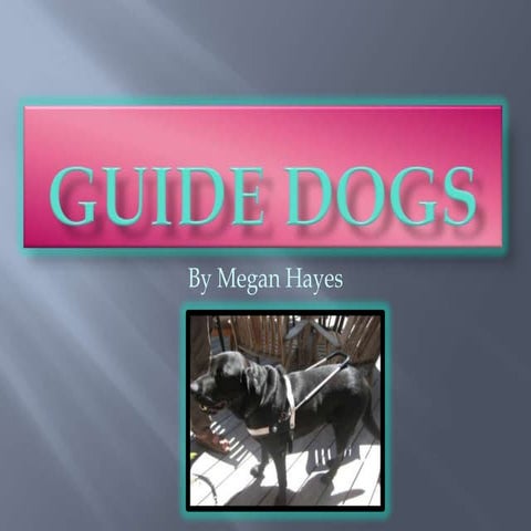 Guide dogs | PPT