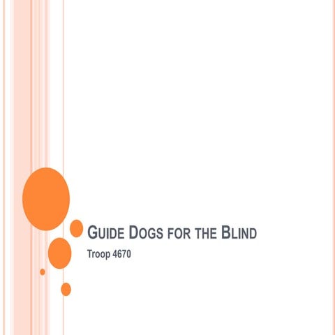 Guide dogs for the blind powerpoint | PPTX