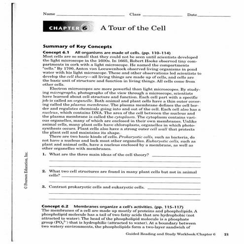 Guidedreadingchapter6 | PDF