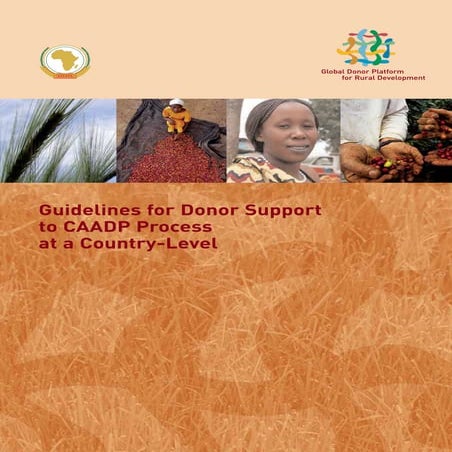 Guidelines for Donor Support Platform | PDF