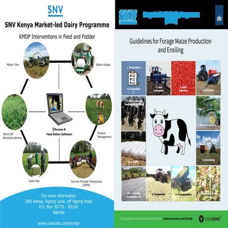 Guidelines for forage maize production and ensiling | PPT