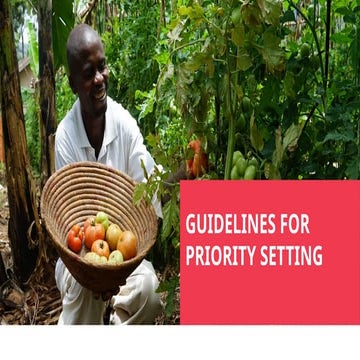 Guidelines For Priority Setting For Result Based Financing Pptx