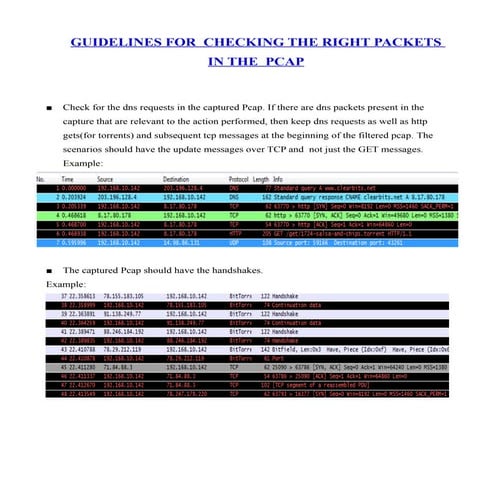 Guidelines for the pcap final | PDF