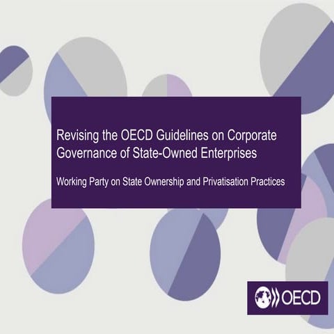 Revised G20-OECD Principles of Corporate Governance | PPTX