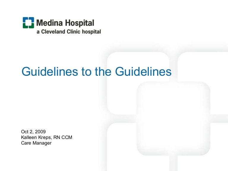 Guidelines Meaning