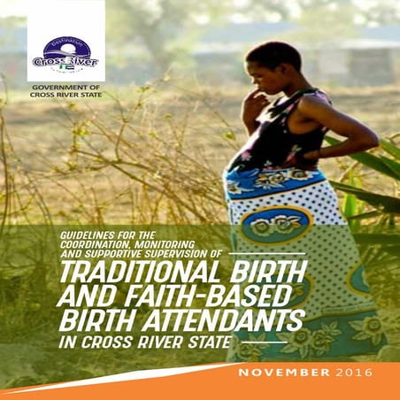 Guidelines traditional birth journal joachim_chijide | PDF