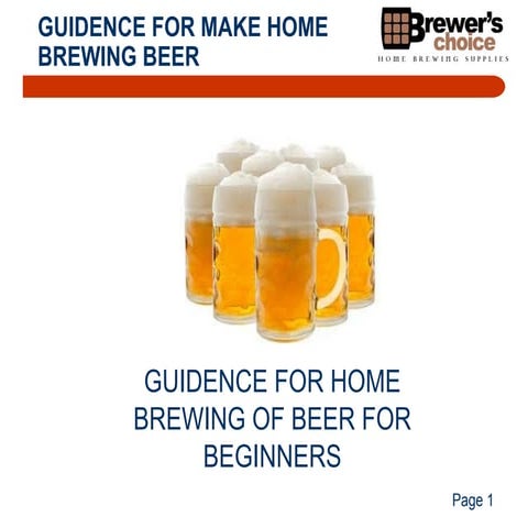 Guidance for home brewing of beer | PDF