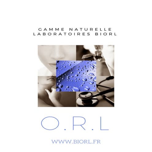 Guide phytonutrition orl | PDF