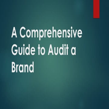 A Comprehensive Guide to Audit a Brand.pptx