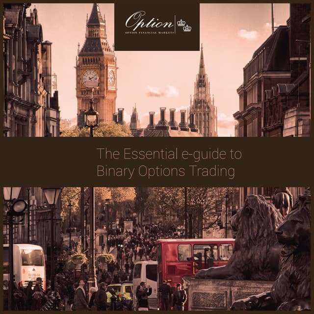 Guide to Binary Options Trading | PDF