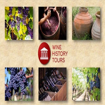 Guide to Choosing Wine | PPT