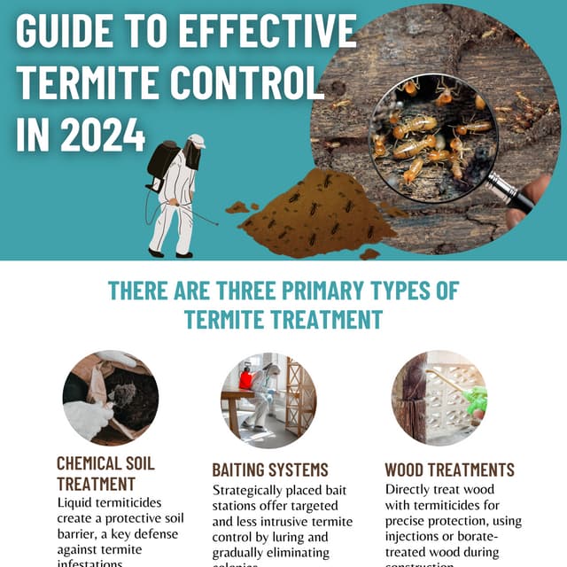 Guide to Effective Termite Control in 2024 | PDF
