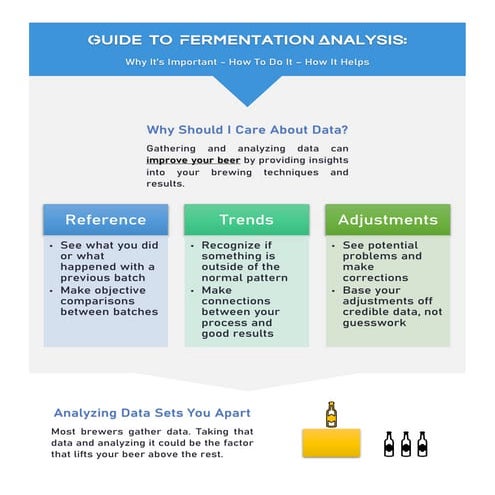 Guide to Fermentation Analysis | PDF