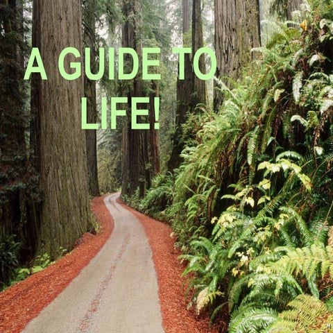 A guide to life powerpoint presentation | PPS