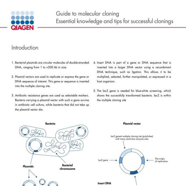 Blue white screening | PPTX