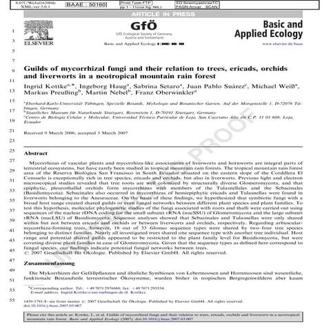 Abrachium, a new genus in the Clathraceae, and Itajahya reassessed | PDF