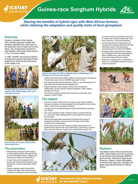 Crops poster pearl millet 1 | PDF