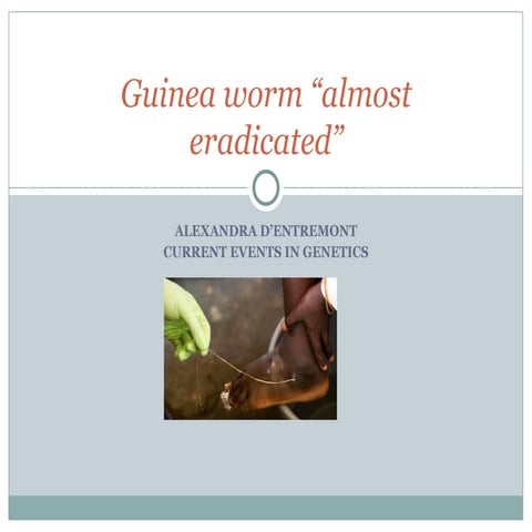 Guinea Worm | PPT