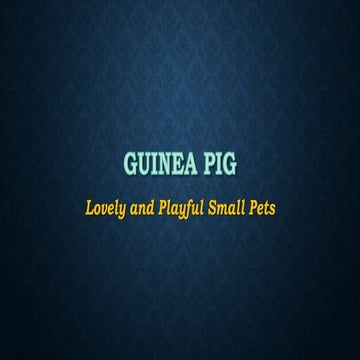 Guinea pig | PPTX
