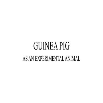 GUINEA PIG AS AN EXPERIMENTAL ANIMAL.pptx