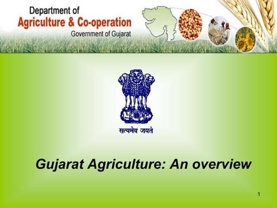 Crops of gujarat | PPT